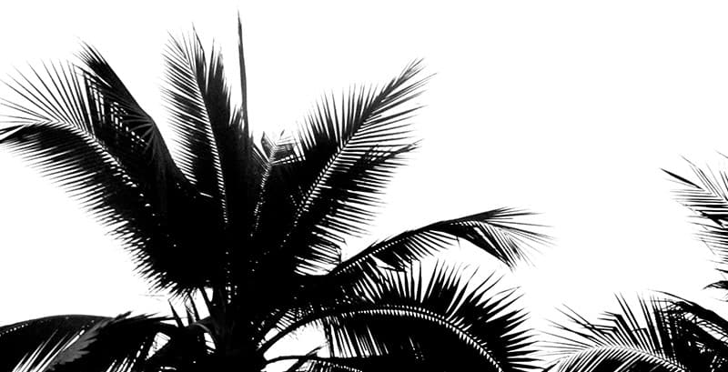 Contact – AmberRoux